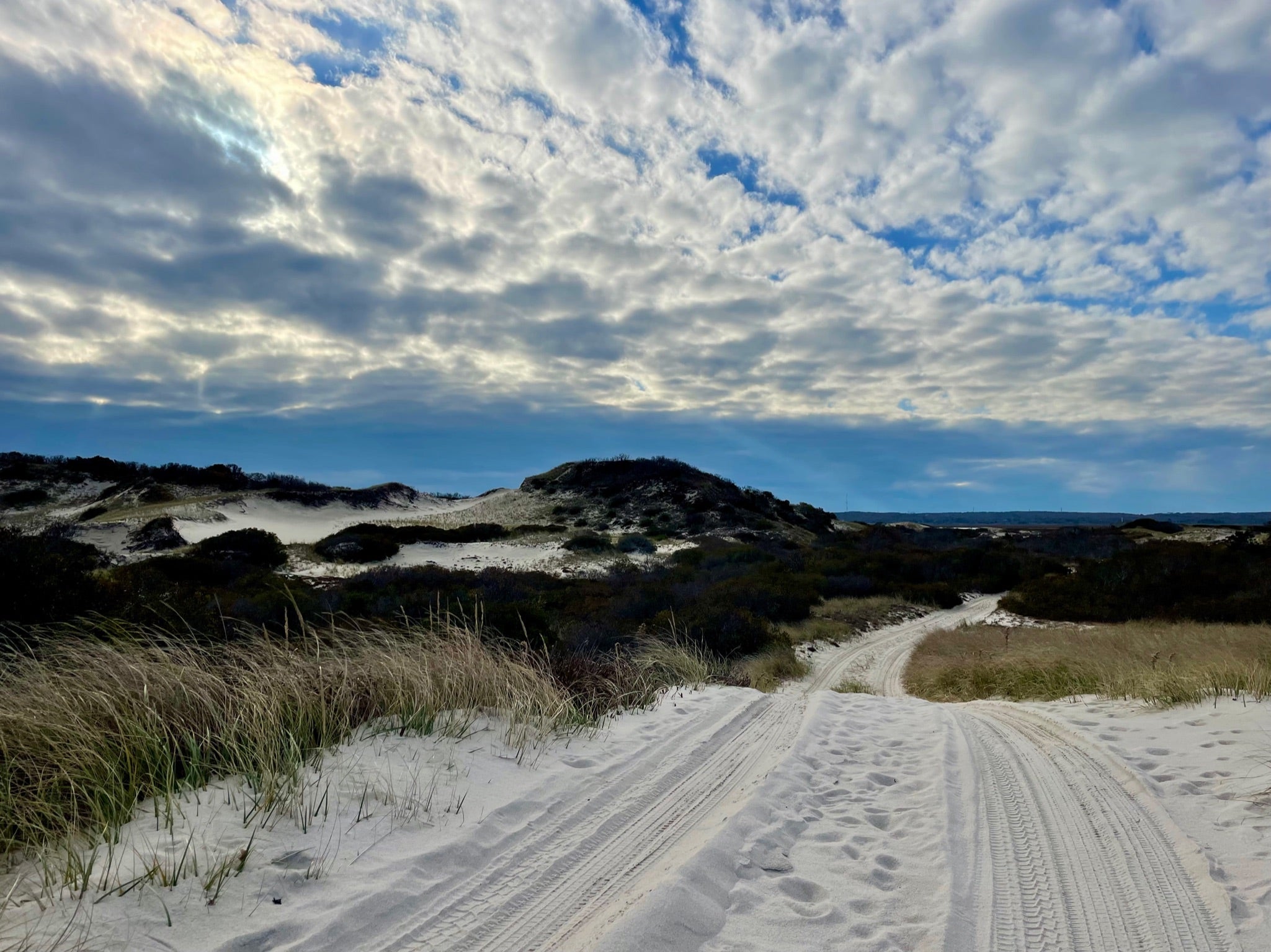 Shop Off Roading Required Gear - Sandy Neck Provisions